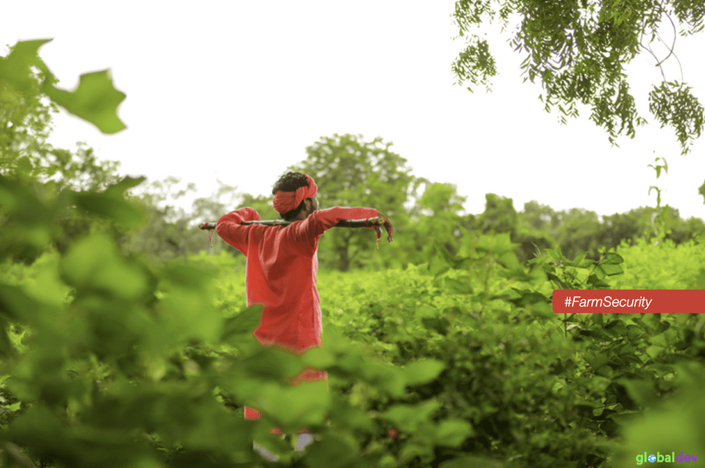 Farm security: an essential component of agricultural development